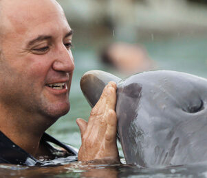 Contact Us – Island Dolphin Care