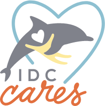 Therapy – Island Dolphin Care